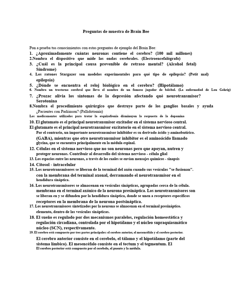Preguntas de Muestra de Brain Bee | PDF | Sinapsis | Potencial de acción