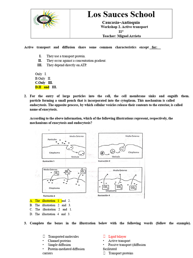 Active Transport and Cellular Mechanisms | PDF | Cell Membrane ...