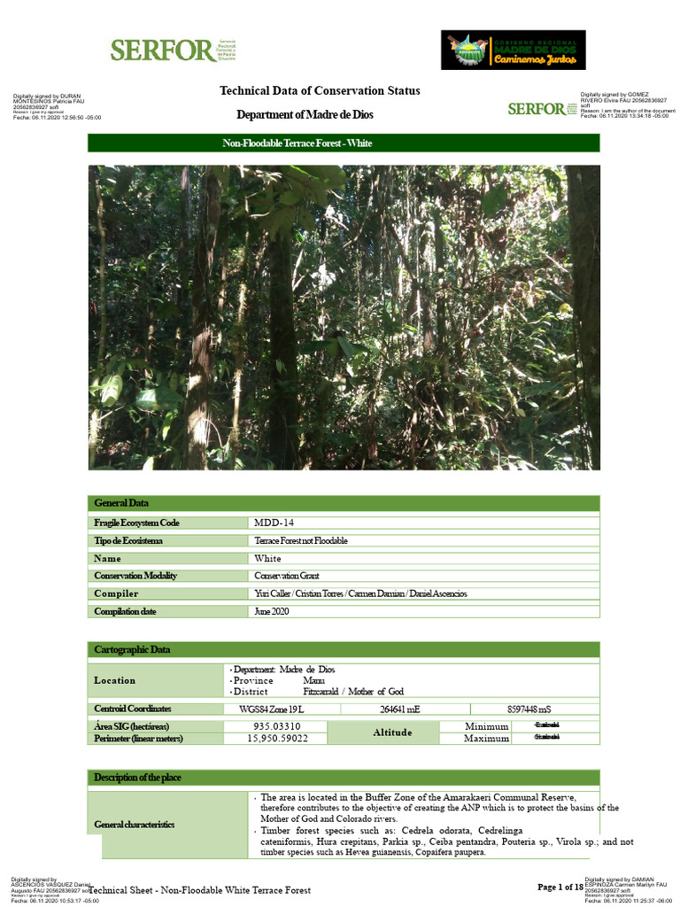 FT-MDD-14 Floodable Terrace Forest - WhiteFFFF | PDF | Parrot | Human ...