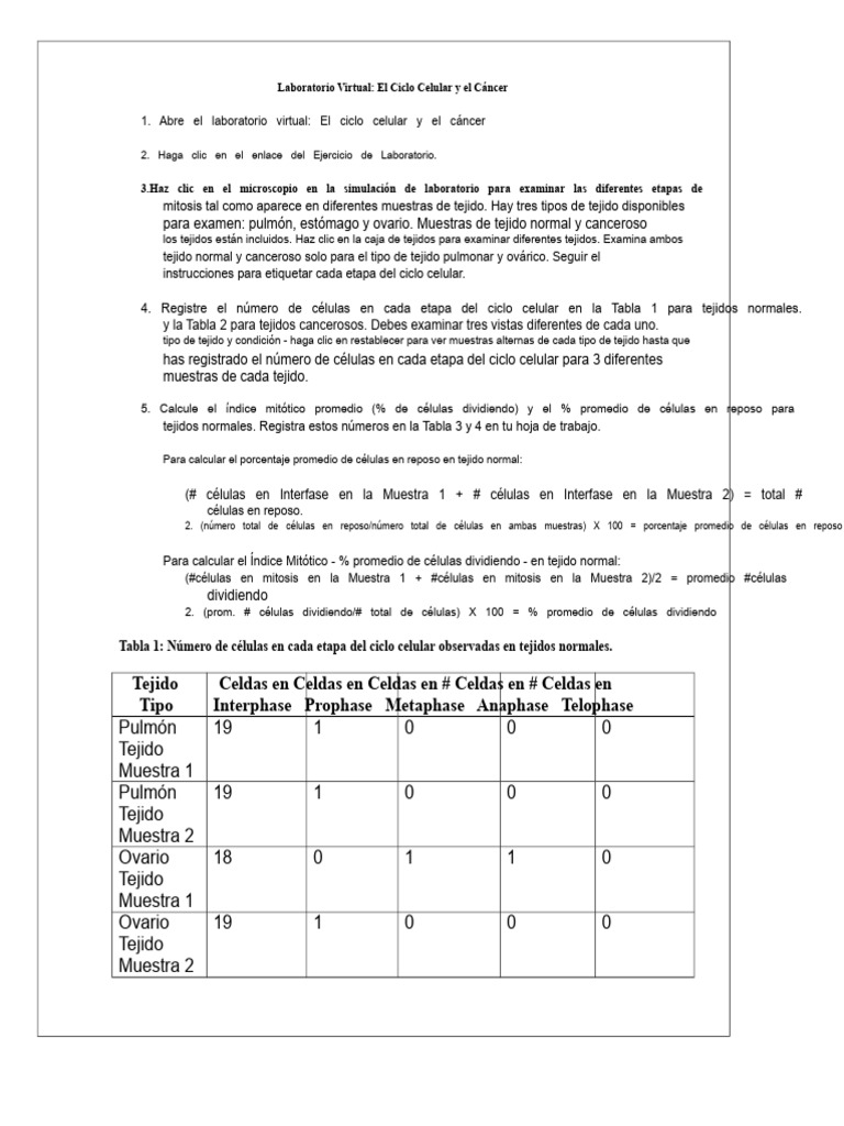 07 - Soluciones de La Hoja de Trabajo Del Laboratorio Virtual Del Ciclo ...