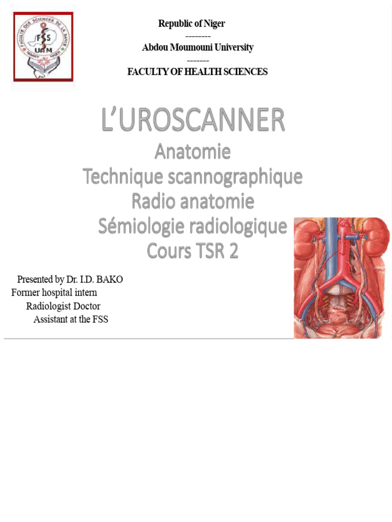 7 - Uroscanner - TSR2 | PDF | Radiology | Kidney
