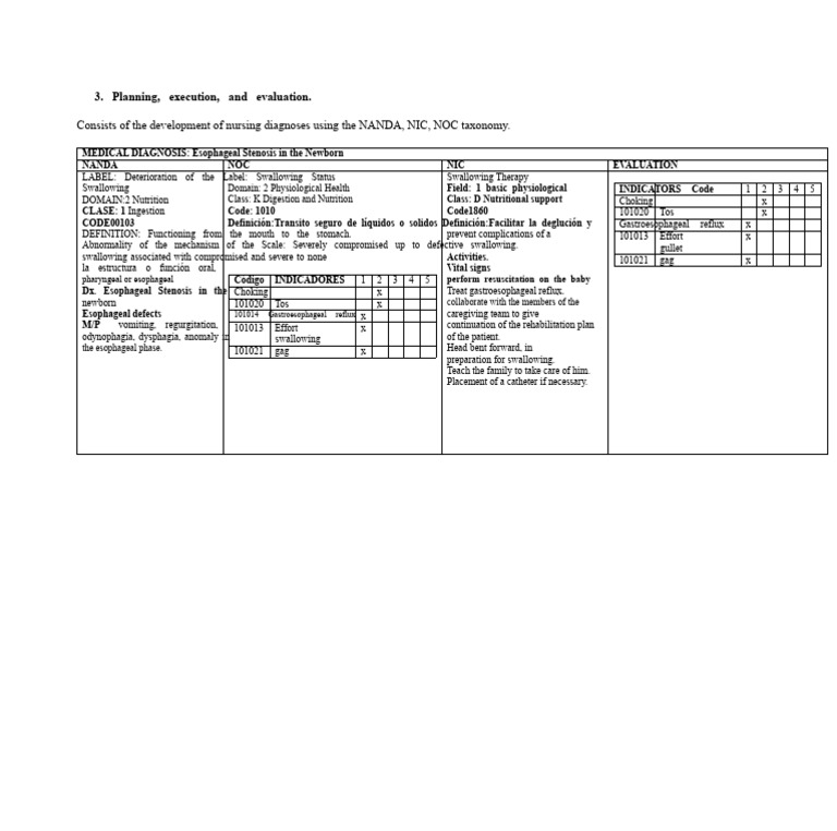 NANDA, NOC and NIC Framework Document | PDF | Esophagus ...