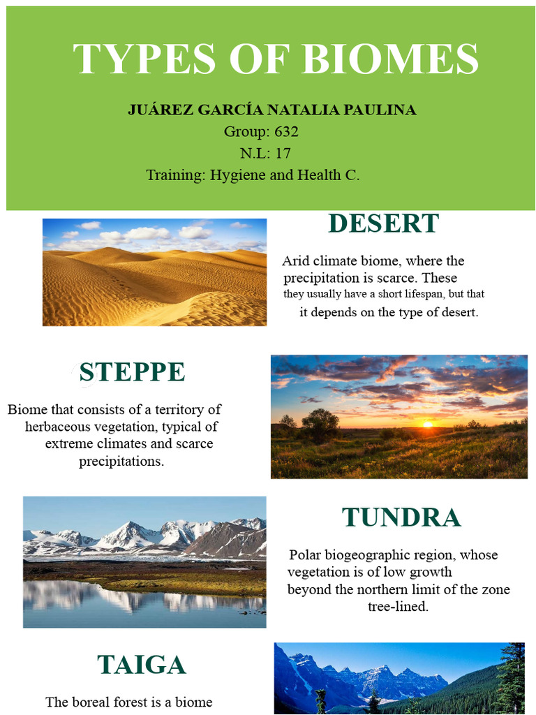 Types of Biomes | PDF