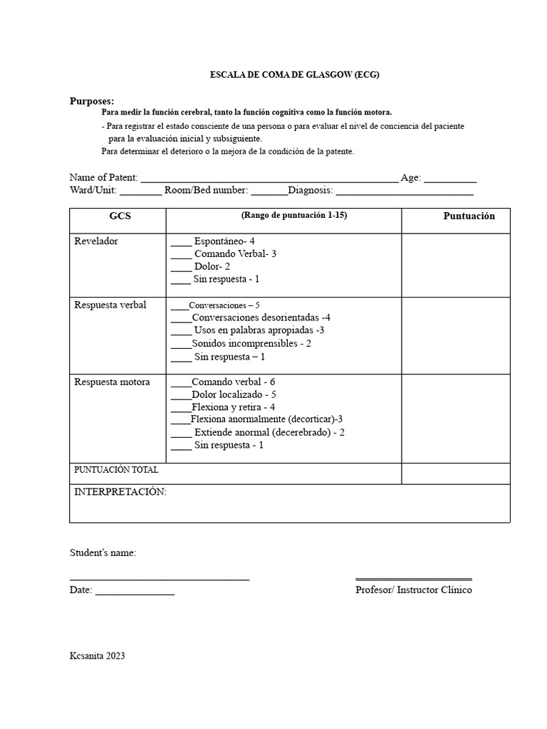 Formulario GCS | PDF