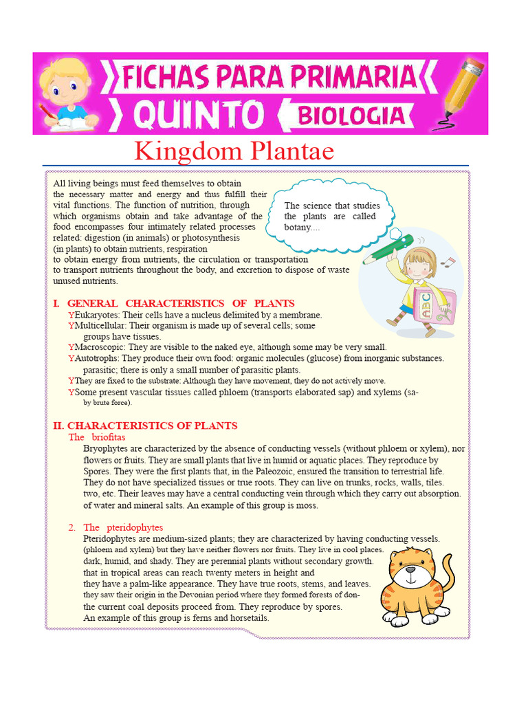 The Plant Kingdom For Fifth Grade | PDF | Plants | Branches Of Botany