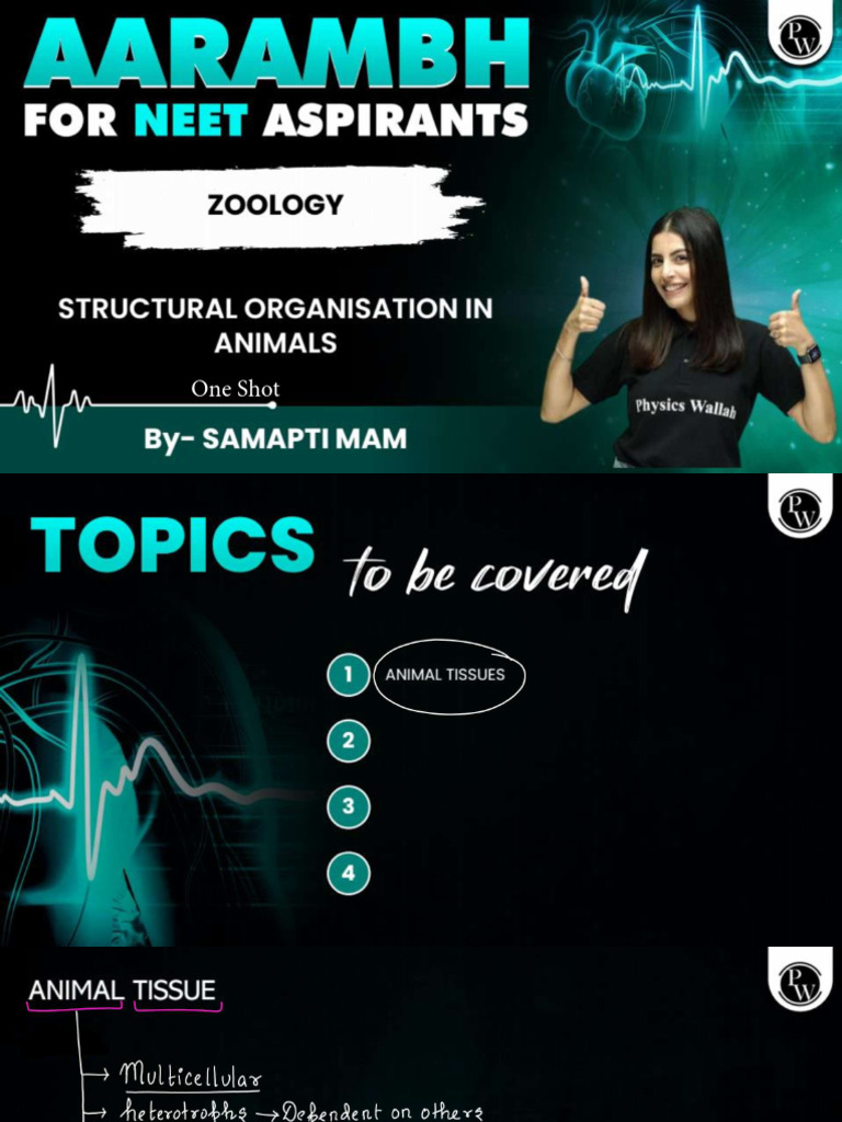 Structural Organisation Animal | PDF