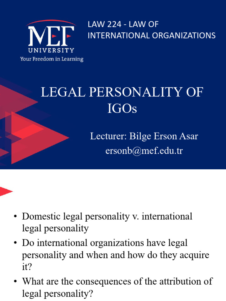Understanding IGOs' Legal Personality | PDF | International Law | Treaty