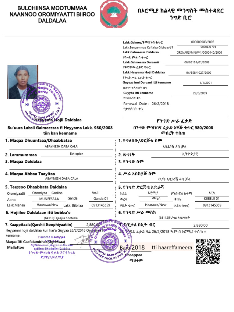 Abaynesh | PDF