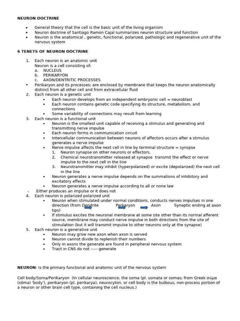 Psy105 Prelimreviewer - 3 0neurons-Neurotransmitters | PDF | Action ...