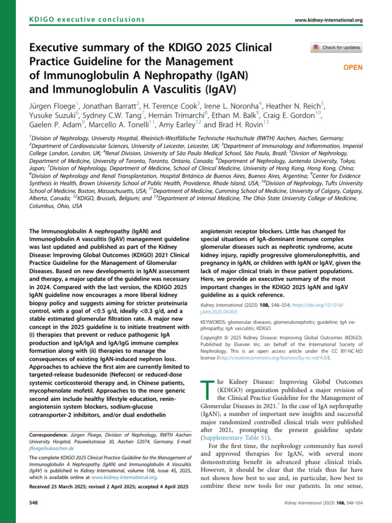 KDIGO 2025 IgAN and IgAV Guidelines Summary | PDF | Medicine | Immunology