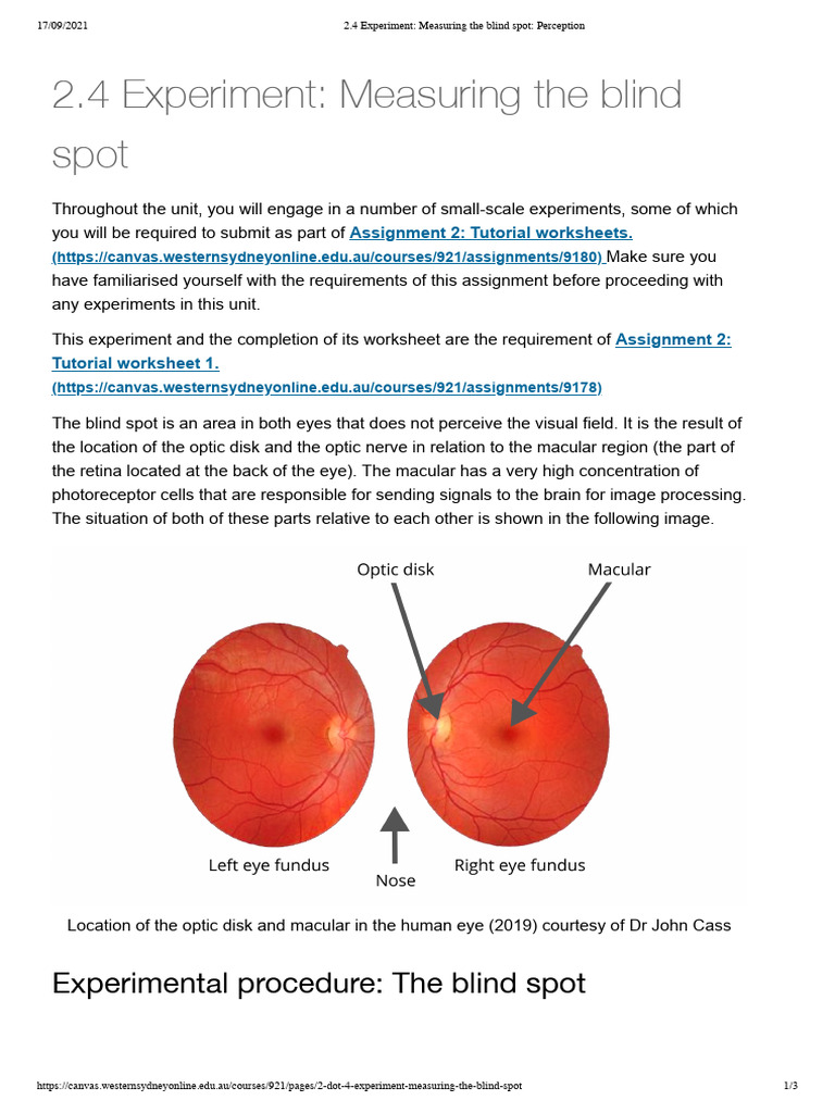 2.4 Experiment - Measuring The Blind Spot - Perception | PDF | Eye | Vision