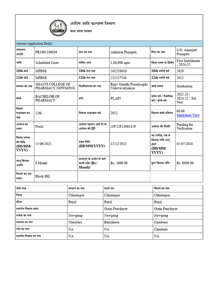 Application Print | PDF