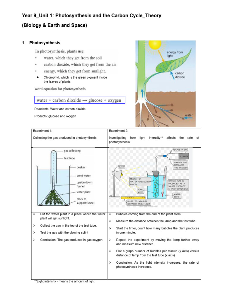Unit 1 - Photosynthesis and Carbon Cycle - Theory | PDF | Carbon Dioxide | Photosynthesis