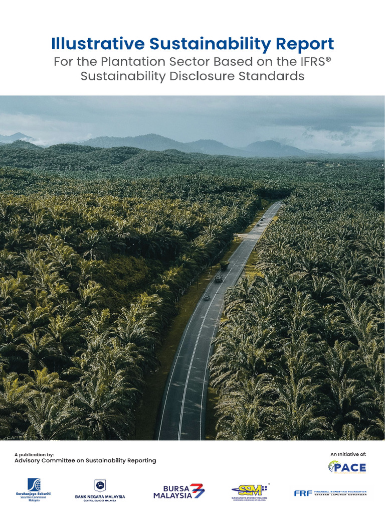 Illustrative Sustainability Report Guide | PDF | International ...