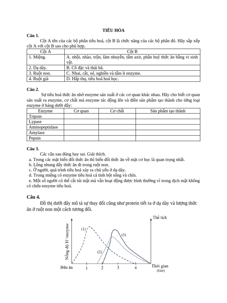 Tiêu Hóa Câu 1 | PDF