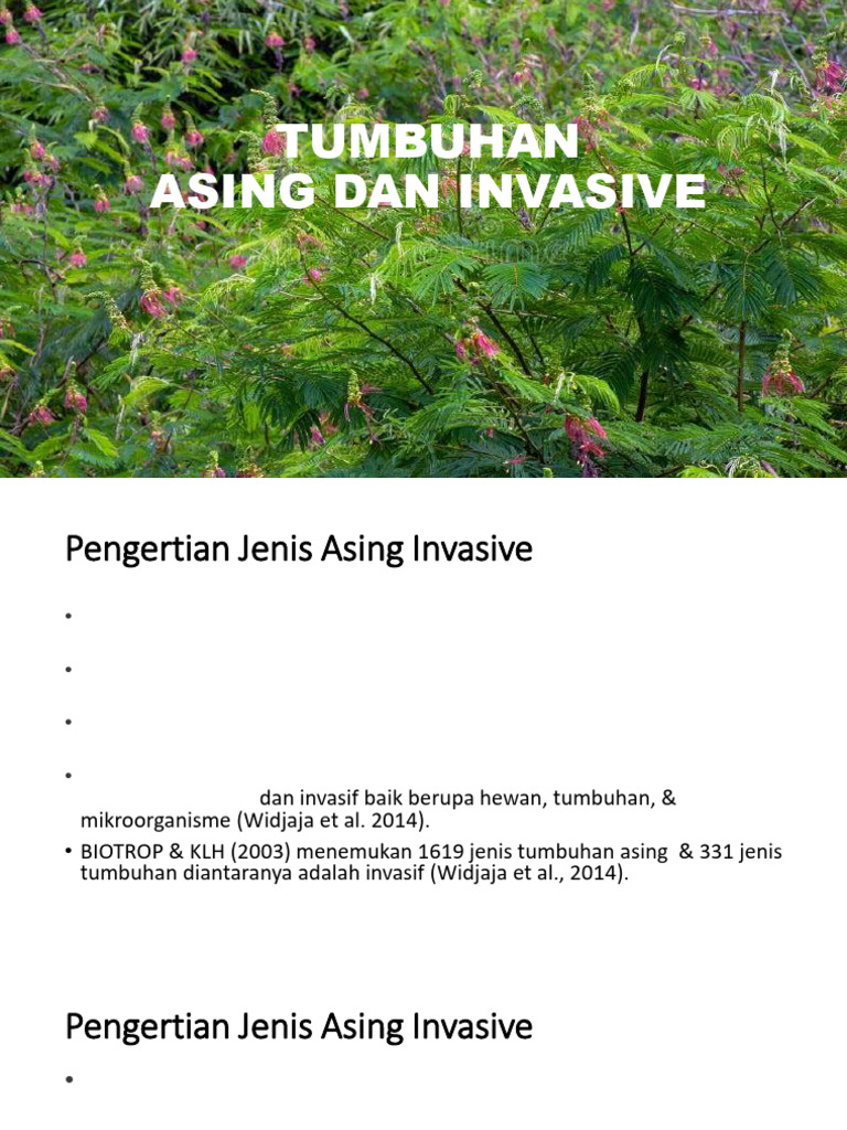 Dampak Tumbuhan Asing Invasif di Indonesia | PDF