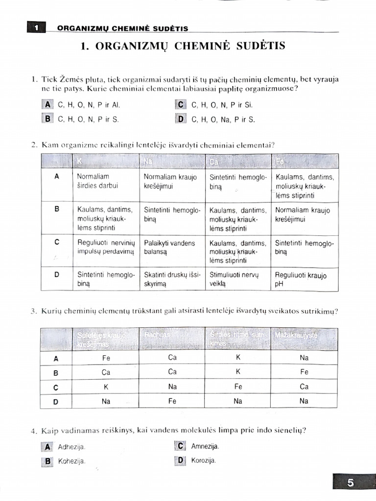 11kl. Org. Medz - (Ang+Lip) | PDF