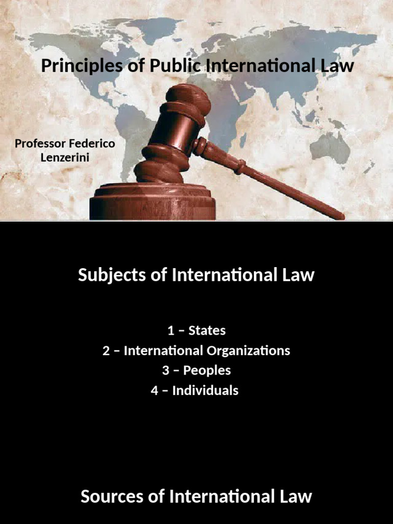 Overview of Public International Law Principles | PDF | Treaty ...