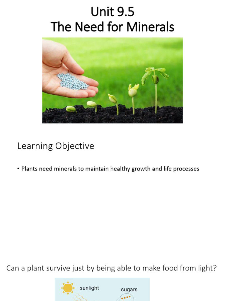 Unit 9.5 | PDF | Plants | Legume
