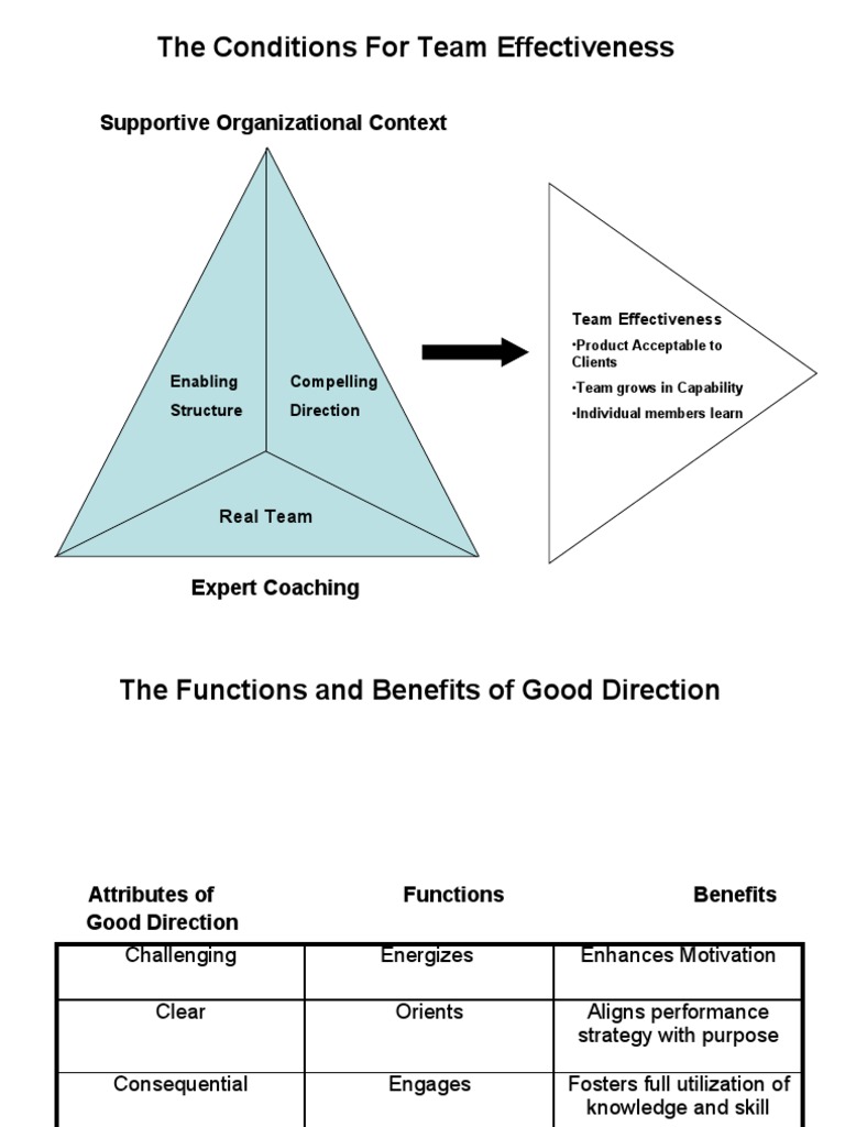 Team Effectiveness 167 | PDF | Motivation | Motivational