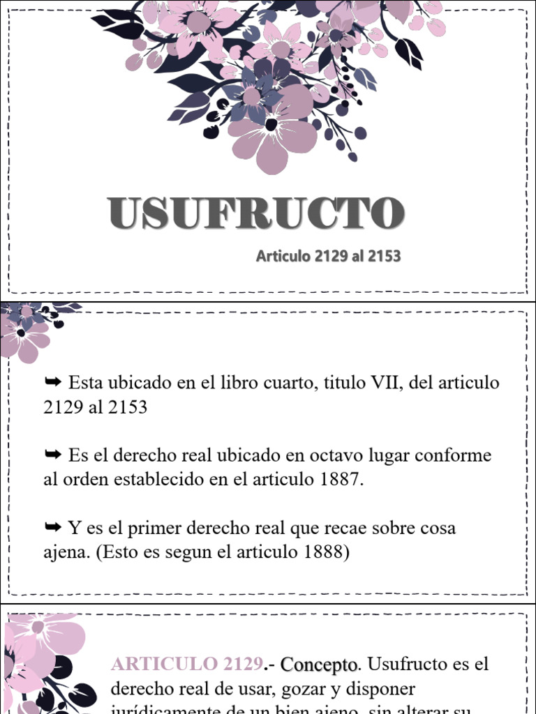 Presentacion Usufructo | PDF | Propiedad | Jerga