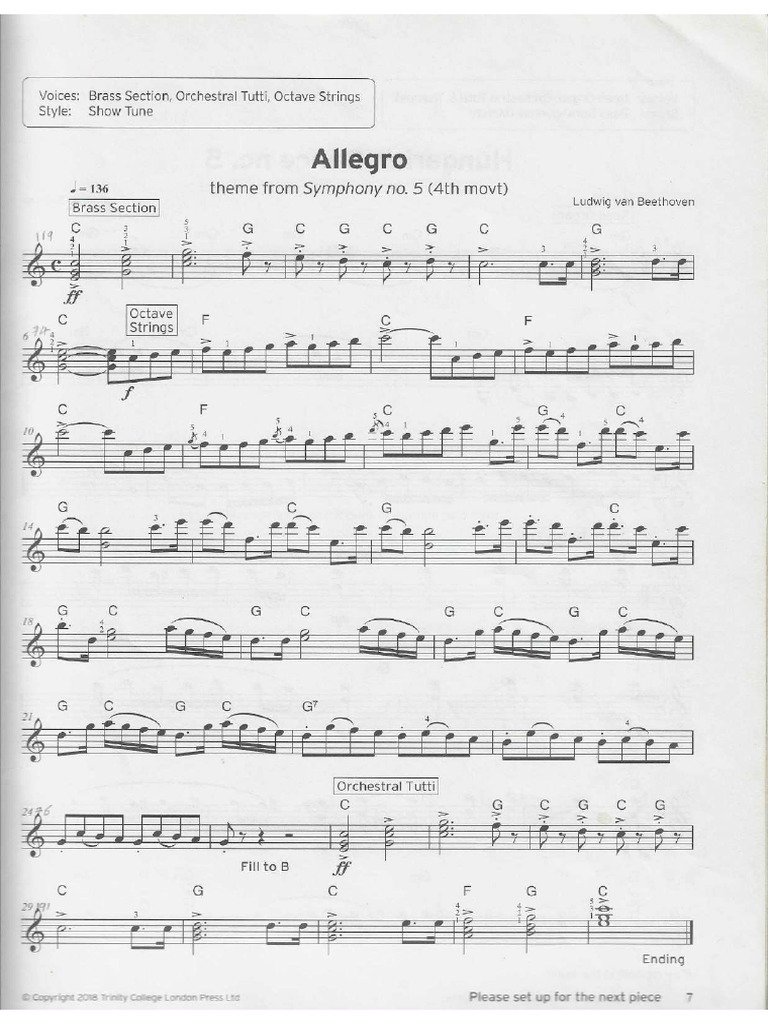 Allegro Notes | PDF