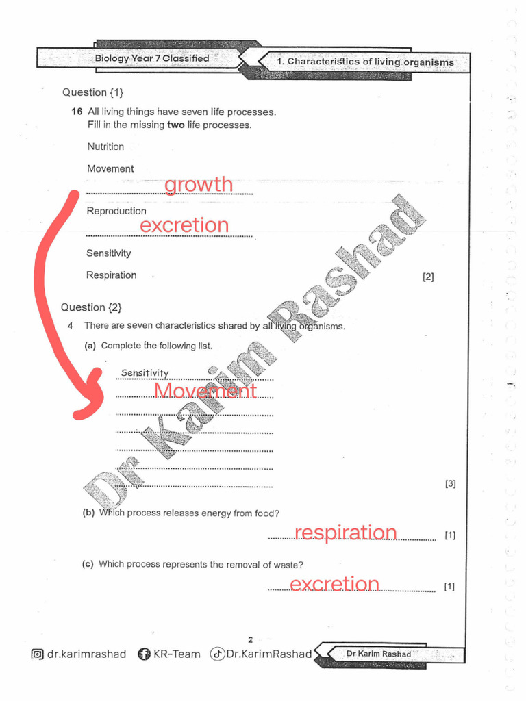 Model Answer Bio | PDF