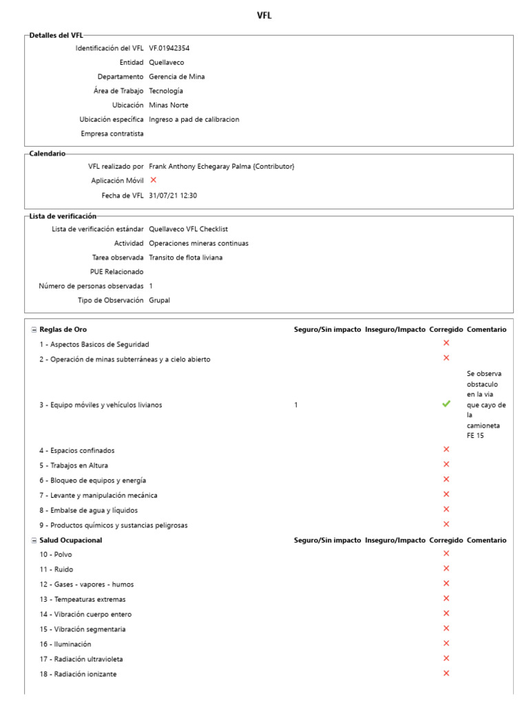 VFL 31072021 69 | PDF | Seguridad y salud ocupacional | Minería
