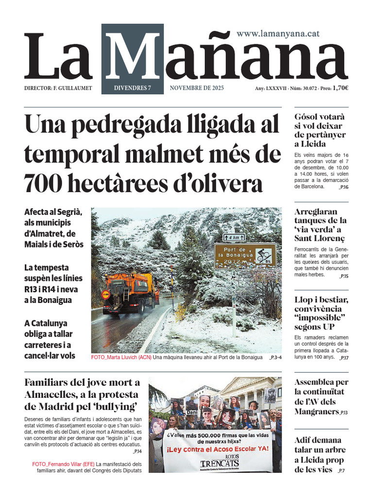 Una Pedregada Lligada Al Temporal Malmet Més de 700 Hectàrees D'olivera ...