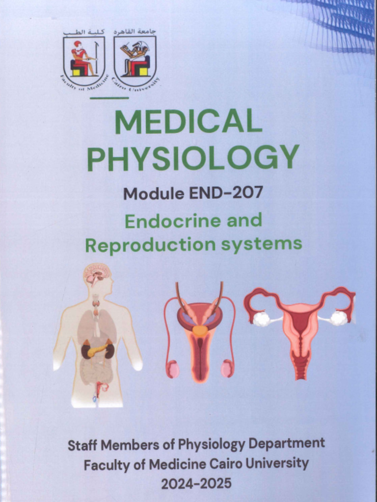Overview of the Endocrine System | PDF | Endocrine System | Hypothalamus