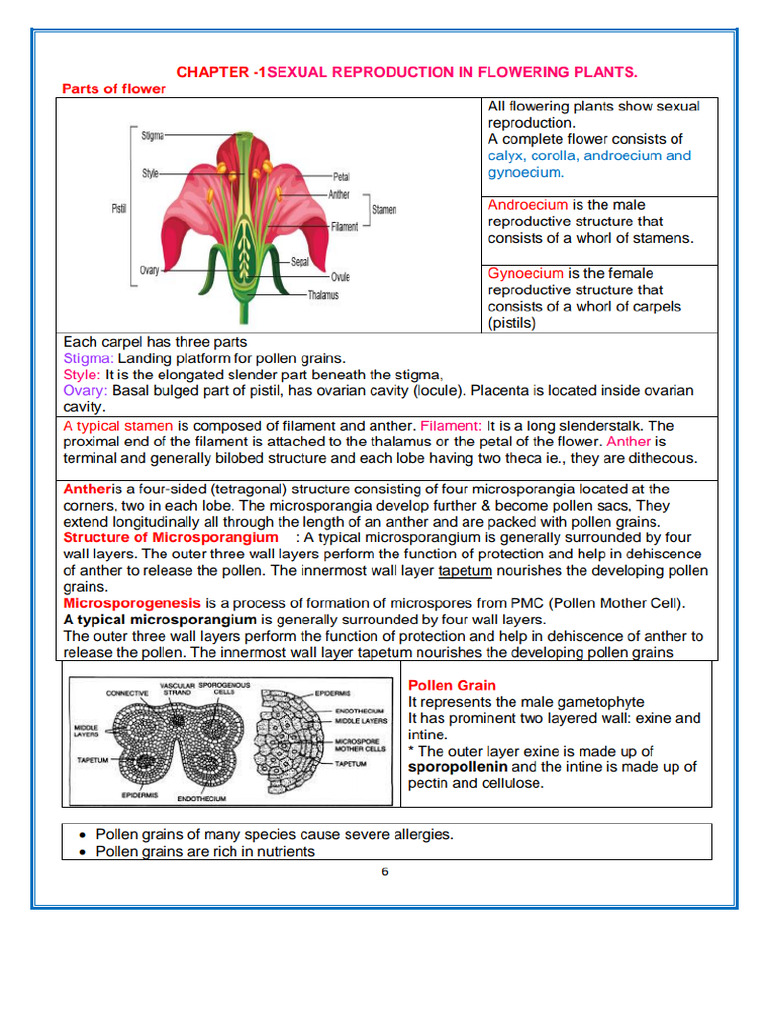 Biology Class 12 - Notes | PDF