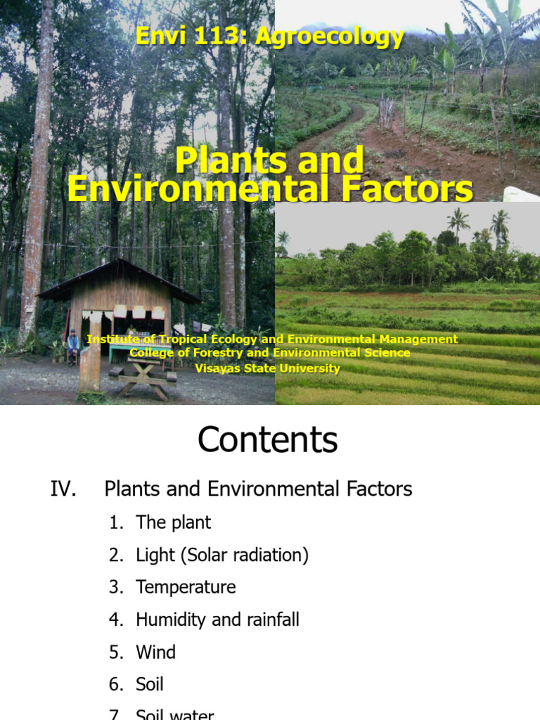 Understanding Plant Growth Factors | PDF | Photosynthesis | Atmosphere ...