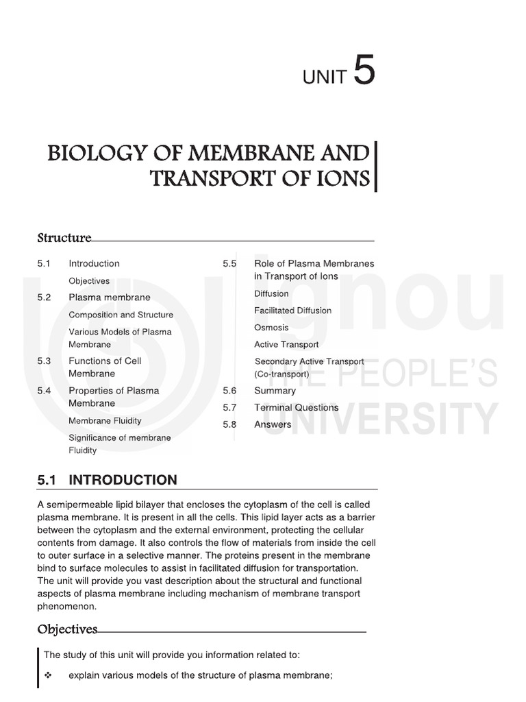 Unit 5 | PDF