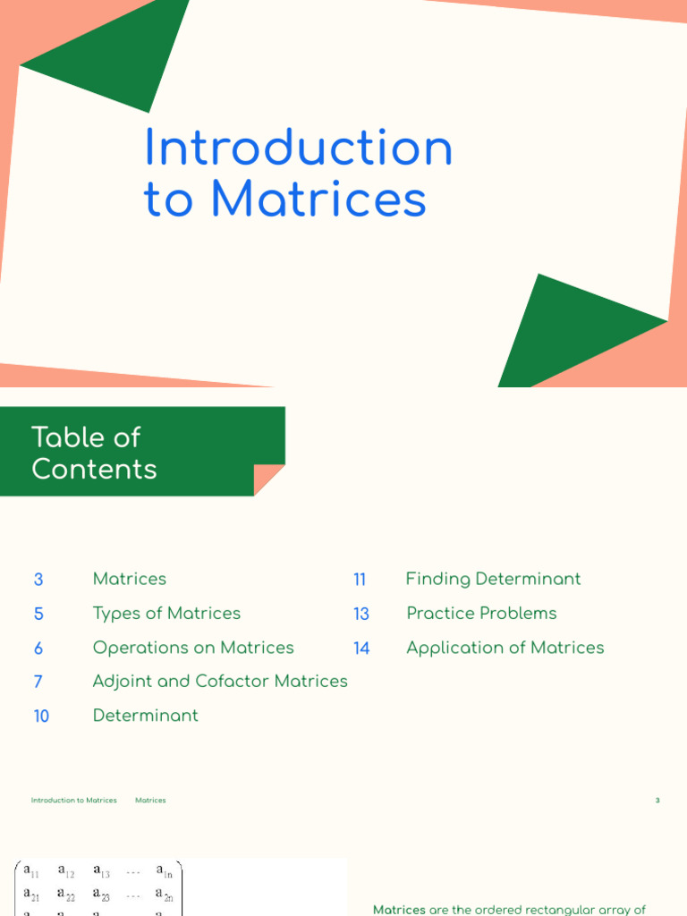 Understanding Matrices and Their Types | PDF | Matrix (Mathematics ...
