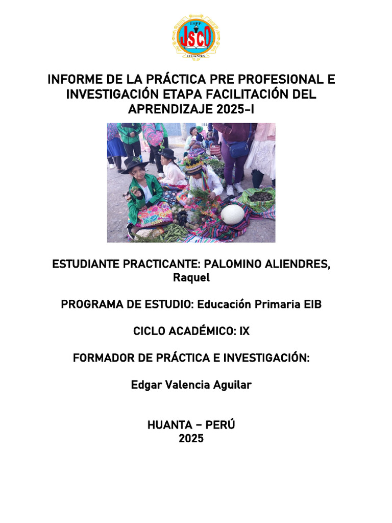 Informe Práctica Preprofesional 2025-Listo | PDF | Aprendizaje | Enseñando