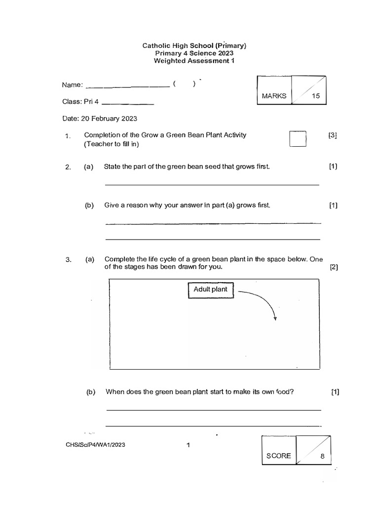 P4 Science WA123 2023 CatholicHigh Exam Papers | PDF | Zoology | Insects