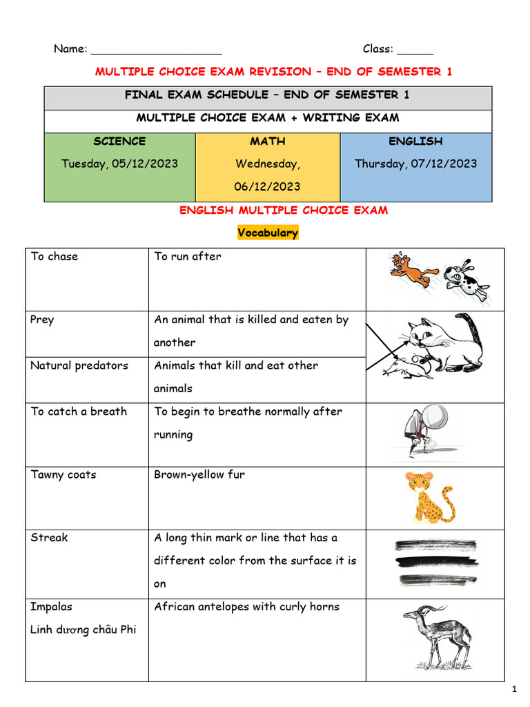 Answer Key - Multiple Choice Exam Revision - End of Semester 1 | PDF ...