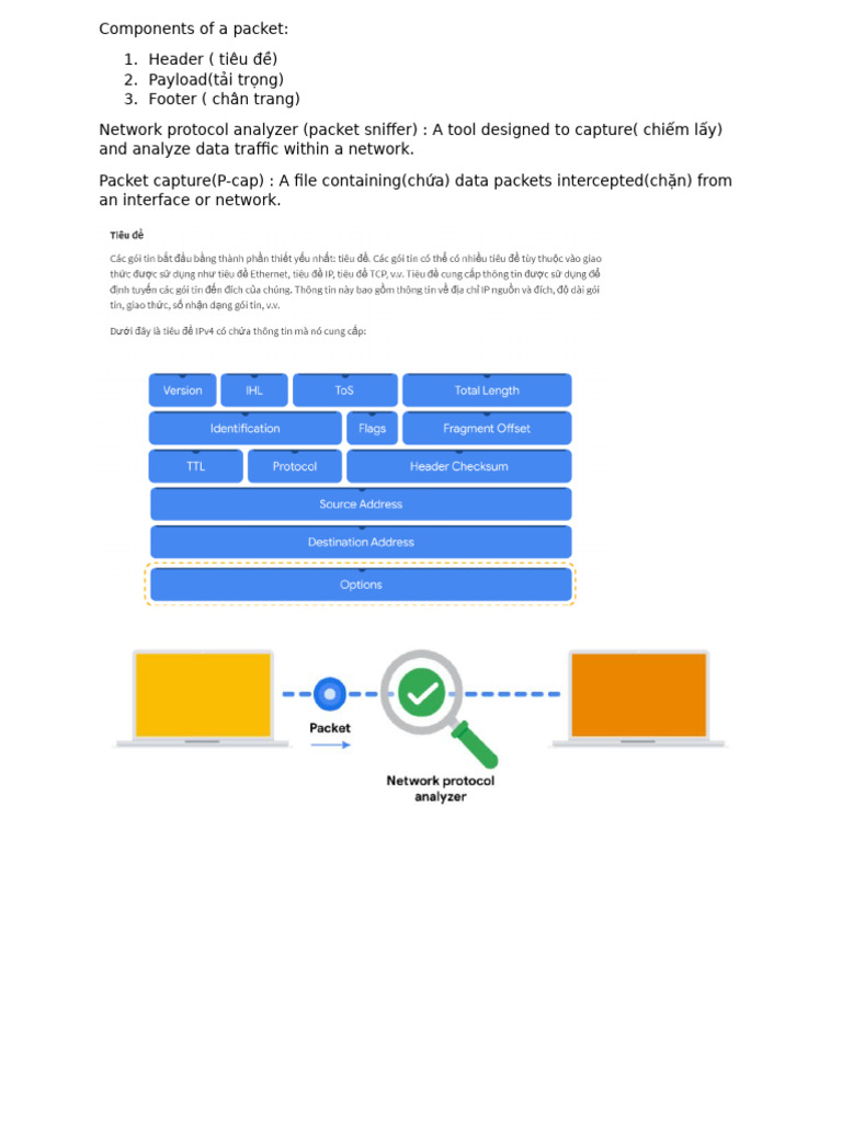 Understanding Packet Components and Tools | PDF