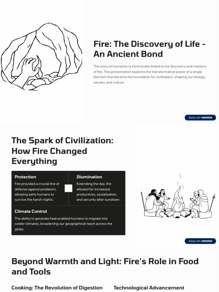Fire's Role in Human Evolution and Culture | PDF | Fires