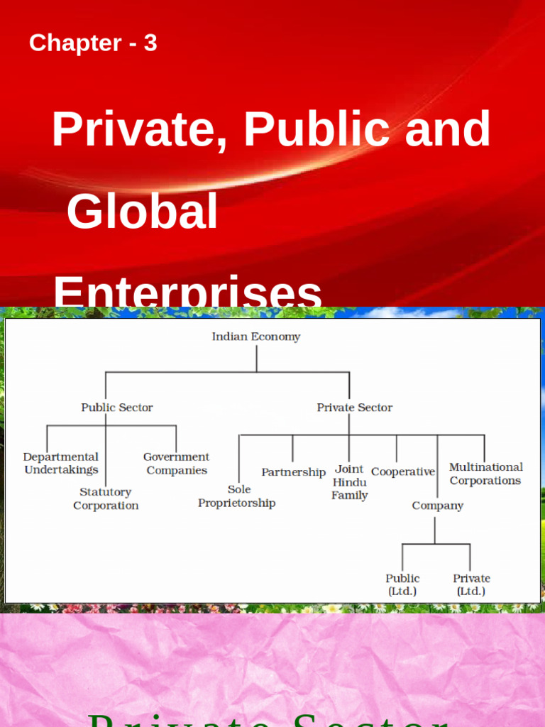 Private, Public. and Global Enterprises | PDF | Public–Private ...