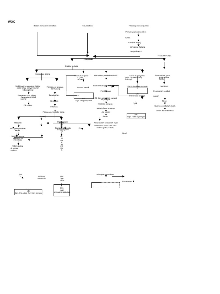 194310309-WOC-Fraktur | PDF
