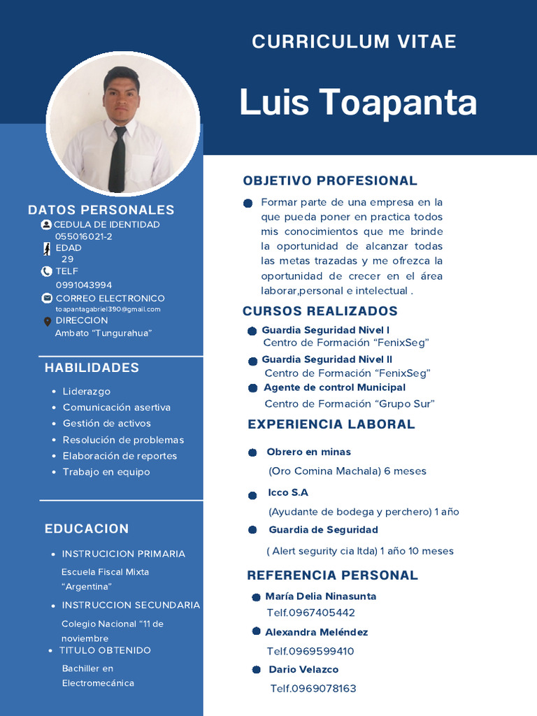 Curriculum Vitae de Luis Toapanta | PDF