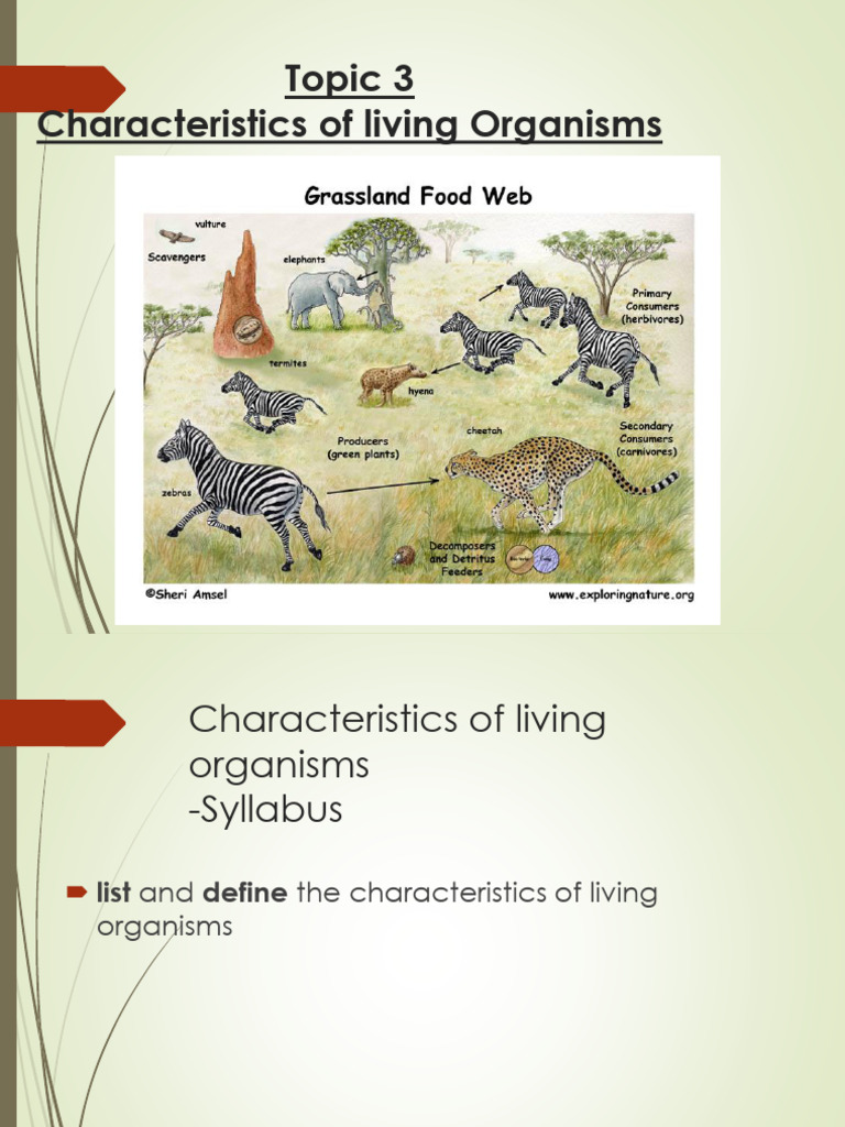 Characteristics of Living Organisms | PDF | Cell (Biology) | Bacteria