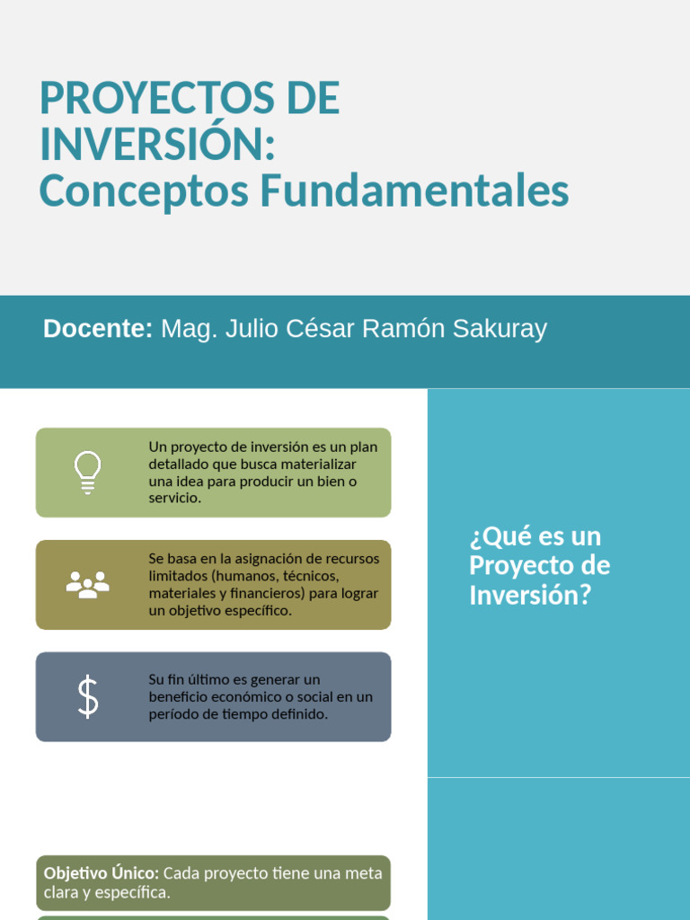 Proyectos de Inversión | PDF | Inversiones | Marketing