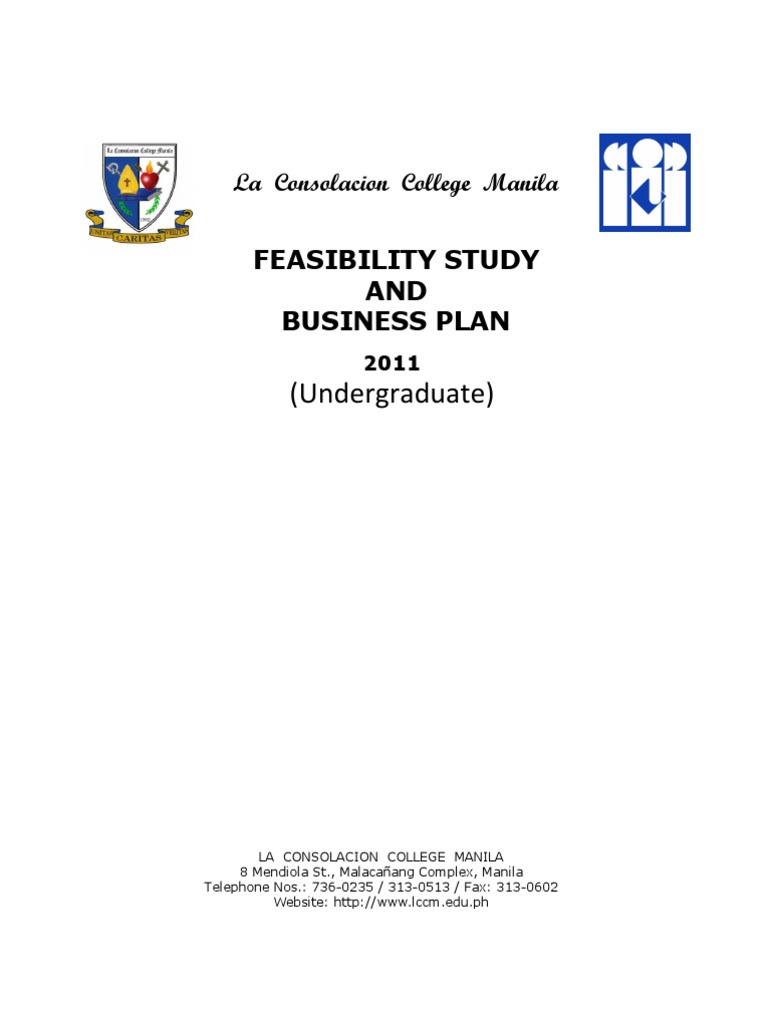 Feasibility Study and Business Plan Guide | PDF | Citation | Thesis