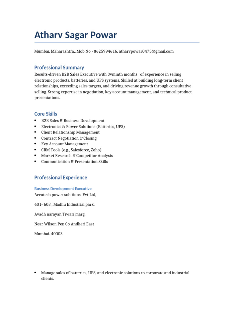 Professional Resume B2B Sales | PDF