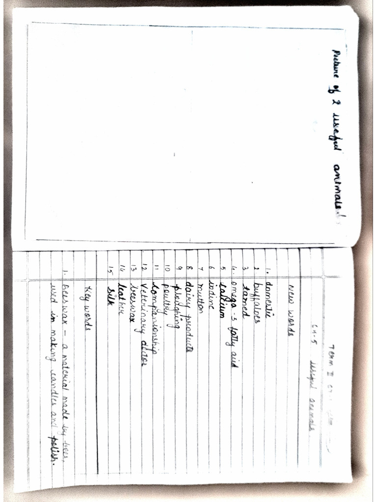 Useful Animals - NB Notes | PDF