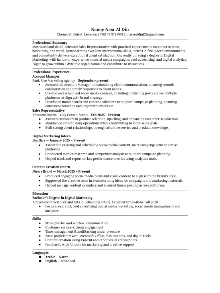 Nancy Nasr Al Dinn CV | PDF | Marketing | Social Media