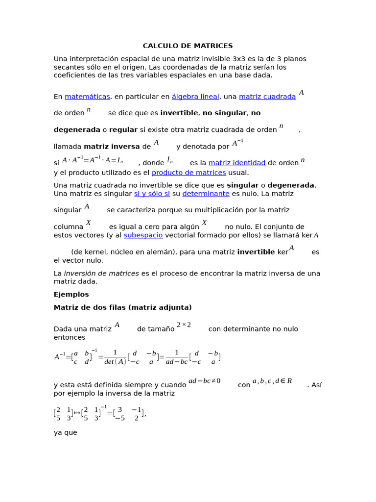 Cálculo y Propiedades de Matrices | PDF | Matriz (Matemáticas) | Física ...