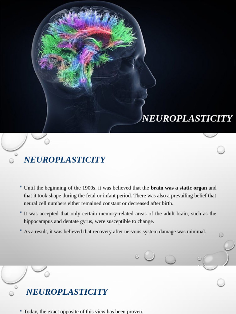 Neuroplasticity Motor Learning Teoric Pratic | PDF | Synaptic ...